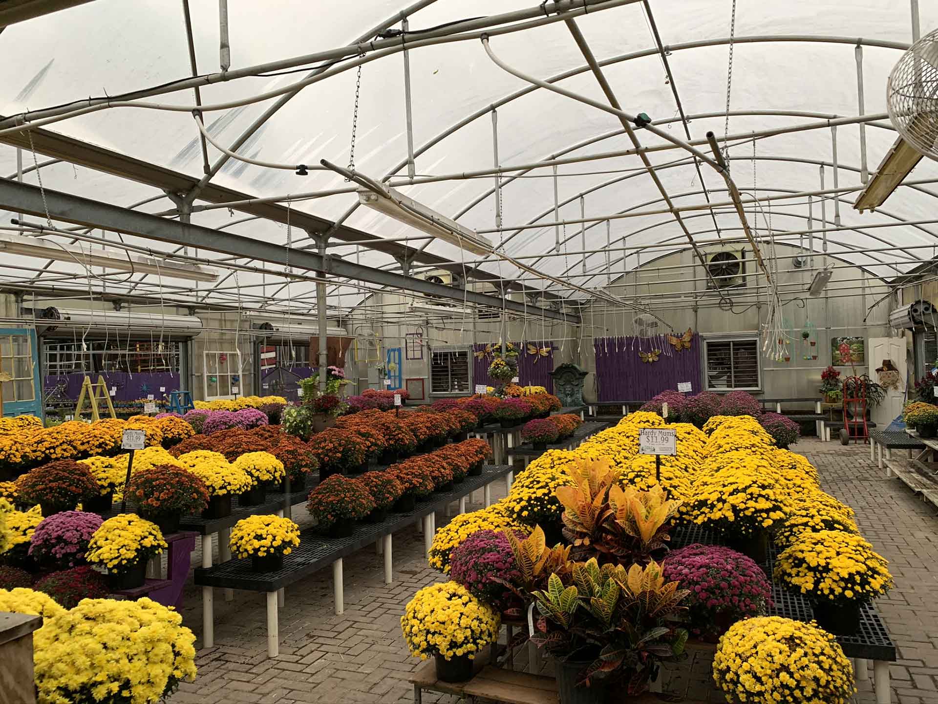 Home | Kings Garden